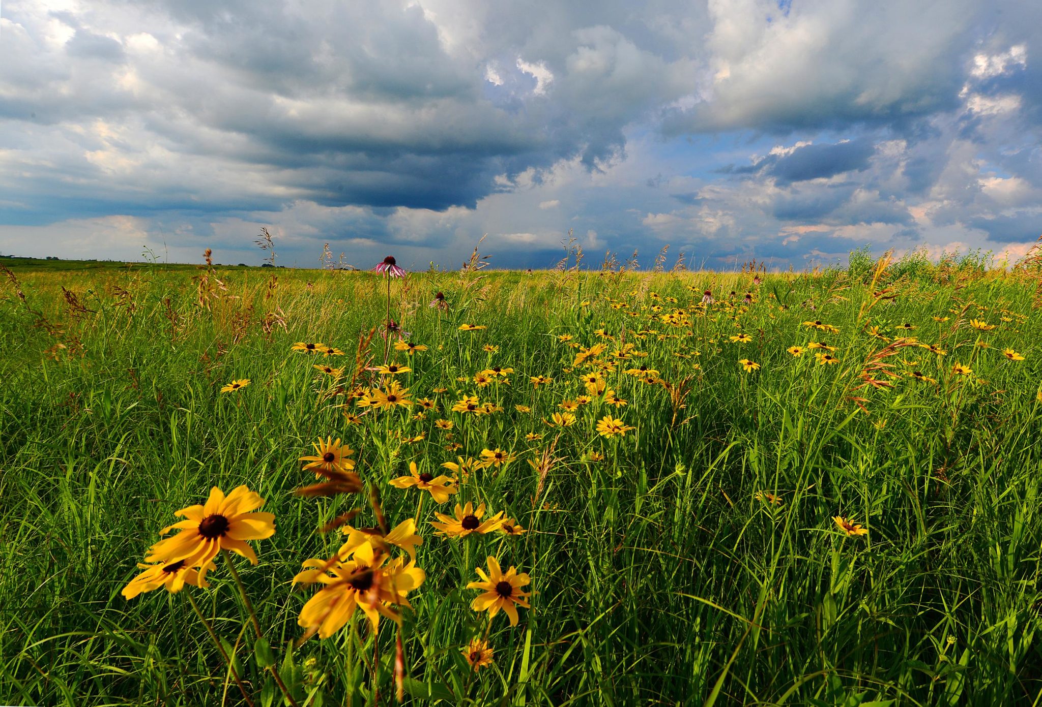 Build a Prairie | Students | CampSilos